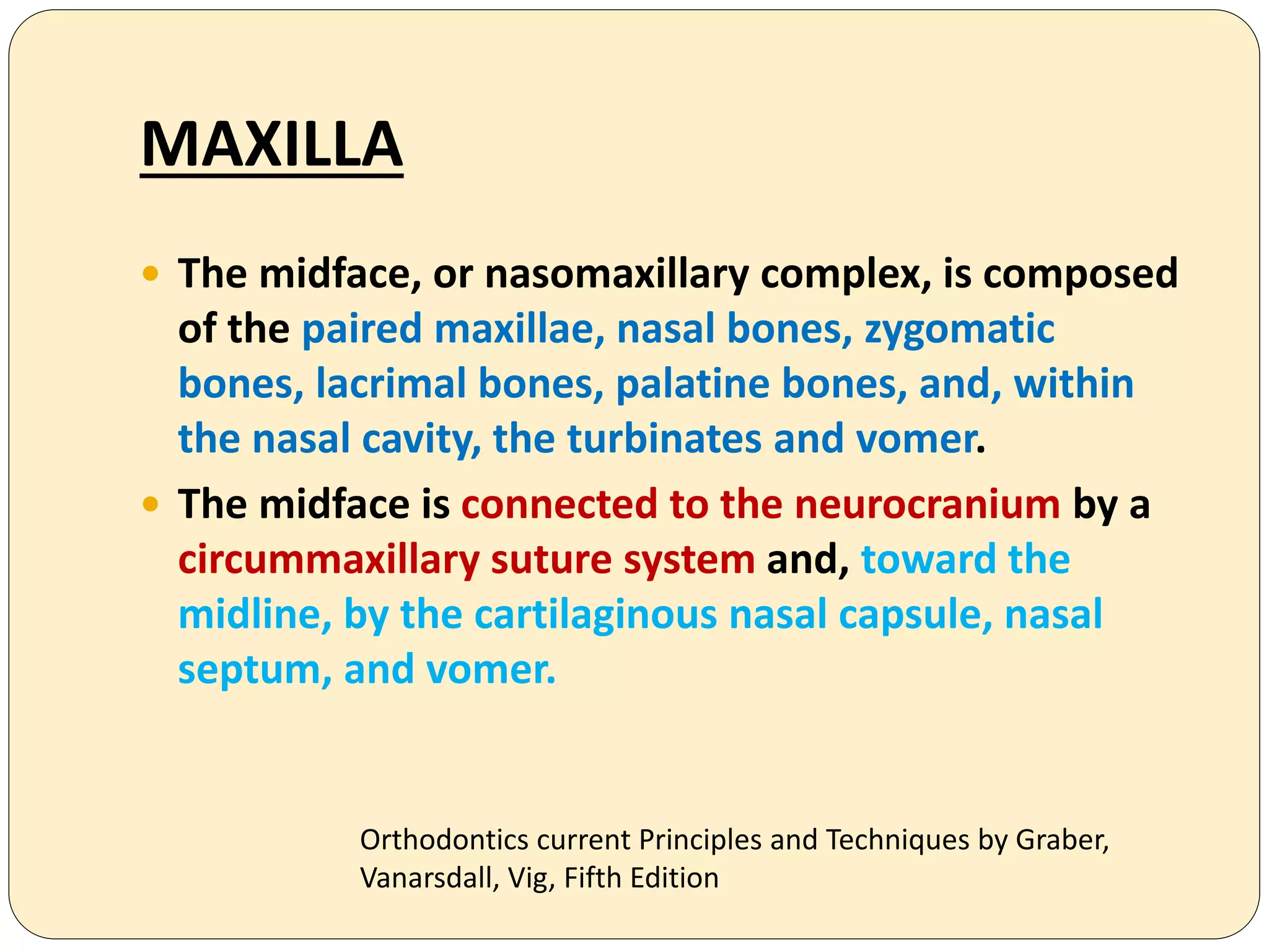 03 growth of maxilla | PPTX | Ear, Nose and Throat Conditions ...