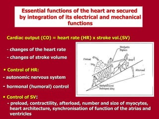03Heart_failure.ppt