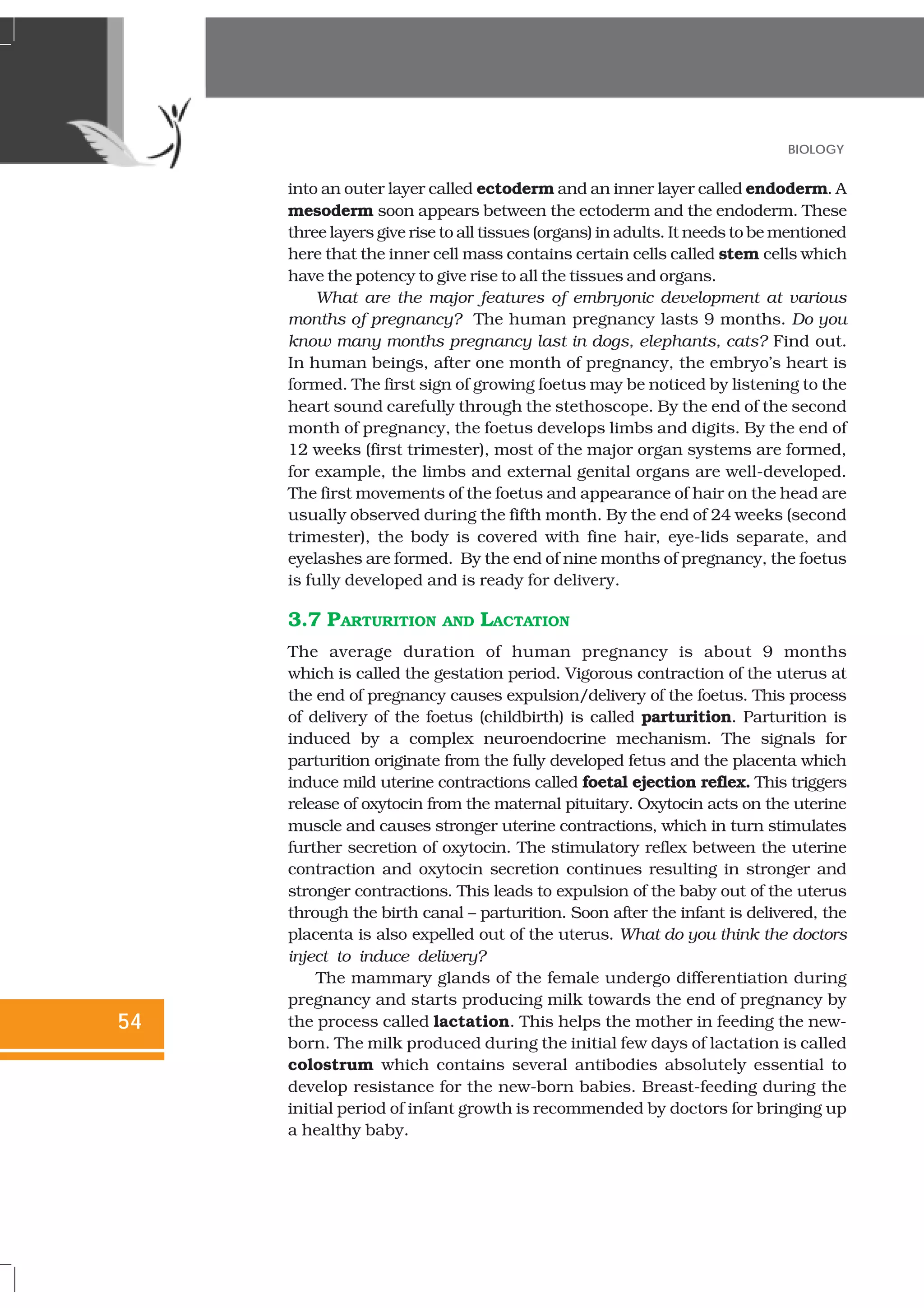 03 human reproduction | PDF