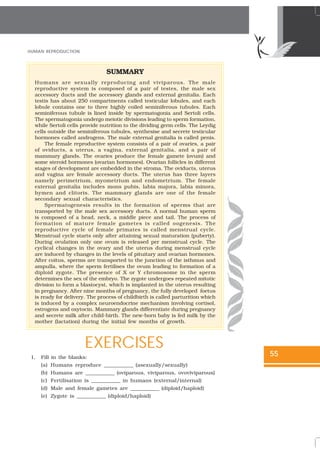 03 human reproduction | PDF