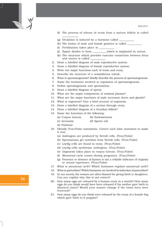 03 human reproduction | PDF