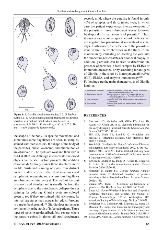 Intestinal Flagellated Giardia Lamblia: A Systematic Review | PDF