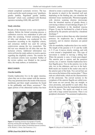 Intestinal Flagellated Giardia Lamblia: A Systematic Review | PDF
