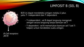 03_Imunologi gizi.pptx