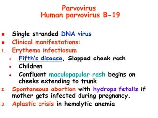 03 infectious disease DNA viruses 2 | PPT