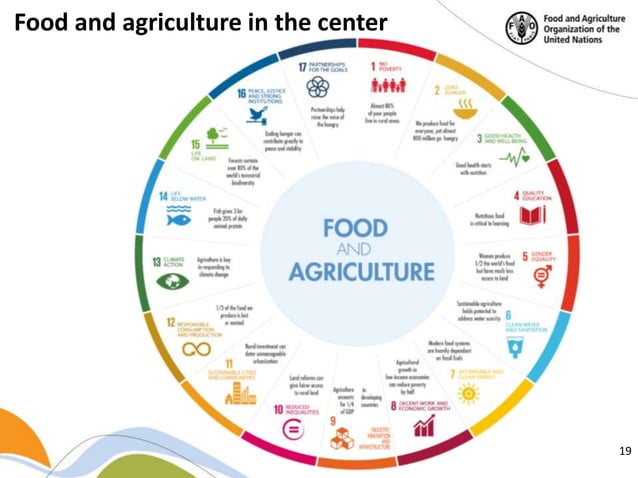 Building a common vision for sustainable food and agriculture – in the ...
