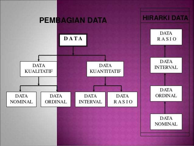 Jenis Data