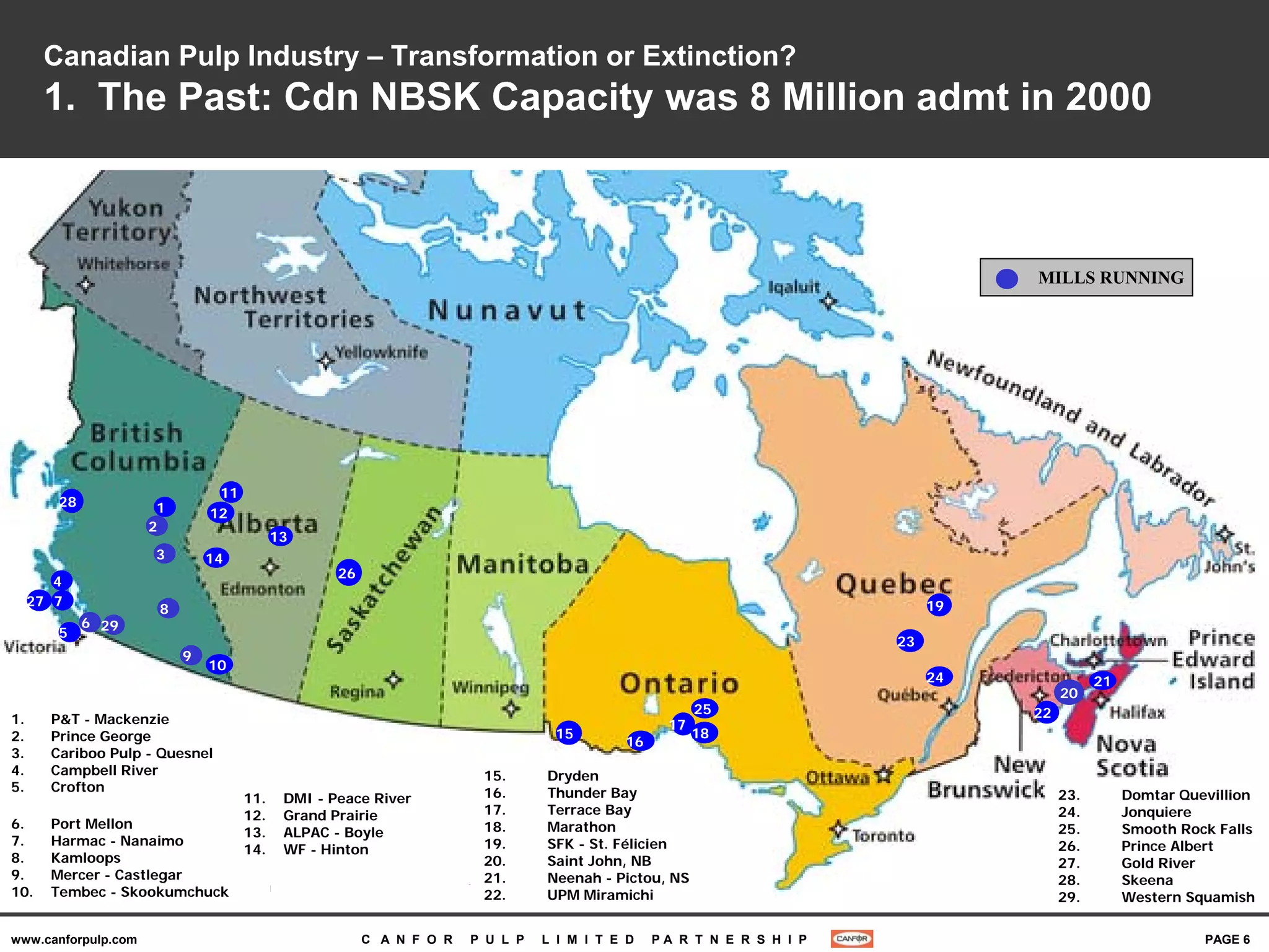 03 Joe Nemeth Canadian Pulp Industry Transformation Or Extinction | PDF