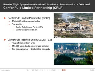 03 Joe Nemeth Canadian Pulp Industry Transformation Or Extinction | PDF
