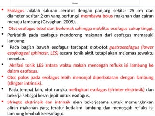 03 KULIAH I-ANATOMI FISIOLOGI-SISTEM PENCERNAAN-22 SEPTEMBER 2015.pptx