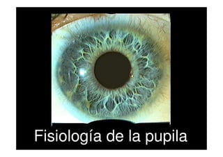LA ANATOMIA Y FISIOLOGÍA DE LA PUPILA PPTX | PDF