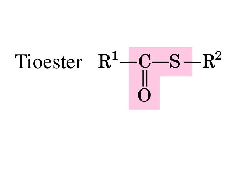 03 Las Biomoleculas