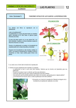 03 las plantas_alumnado | PDF