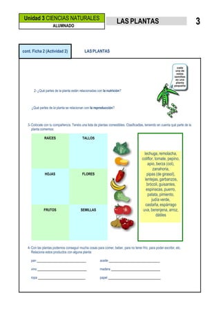 03 las plantas_alumnado | PDF