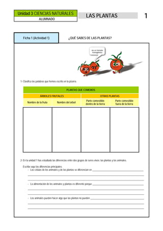 FICHAS DE ACTIVIDADES SOBRE LAS PLANTAS | PDF
