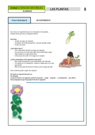 FICHAS DE ACTIVIDADES SOBRE LAS PLANTAS | PDF