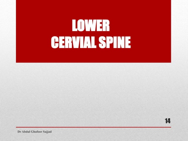 Manual Therapy of the Cervical Spine Kaltenborn Approach "Part A" by ...