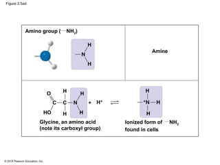 Biology Chemical Group