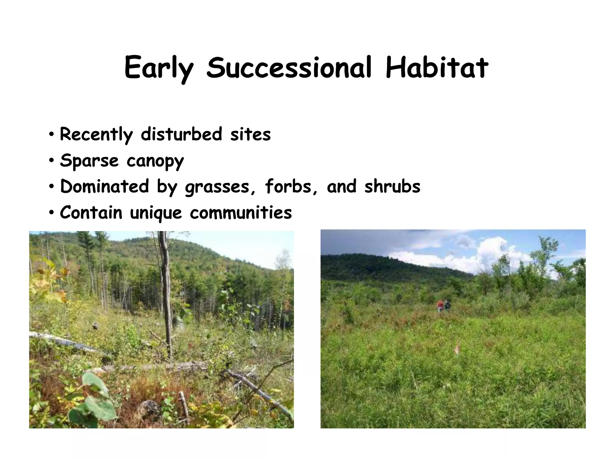 Landscape-Scale Thresholds Of Early Successional Habitat: Reconciling ...