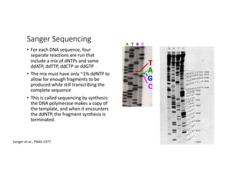 03_Microbio590B_sequencing_2022.pdf | Free Download