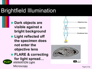 Ch 3 Microscopy | PPT