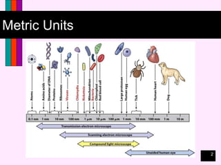 Ch 3 Microscopy | PPT