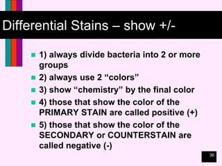 Ch 3 Microscopy | PPT