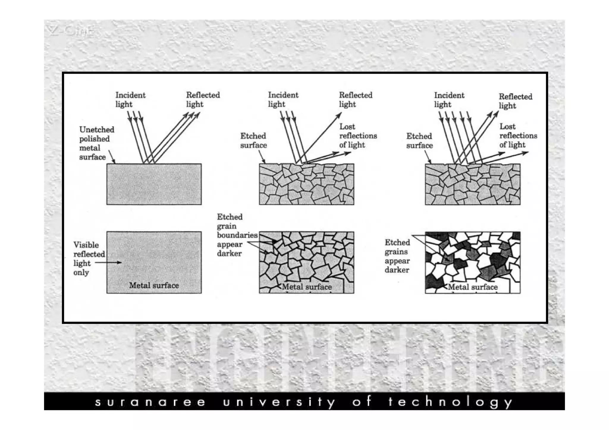 03 Microstructure of Metals.pdf