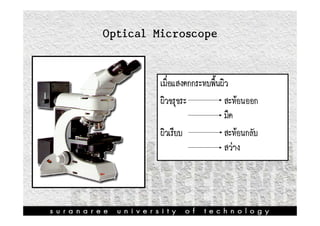 03 Microstructure of Metals.pdf