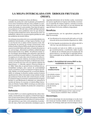 03 milpa intercalada con frutales | PDF