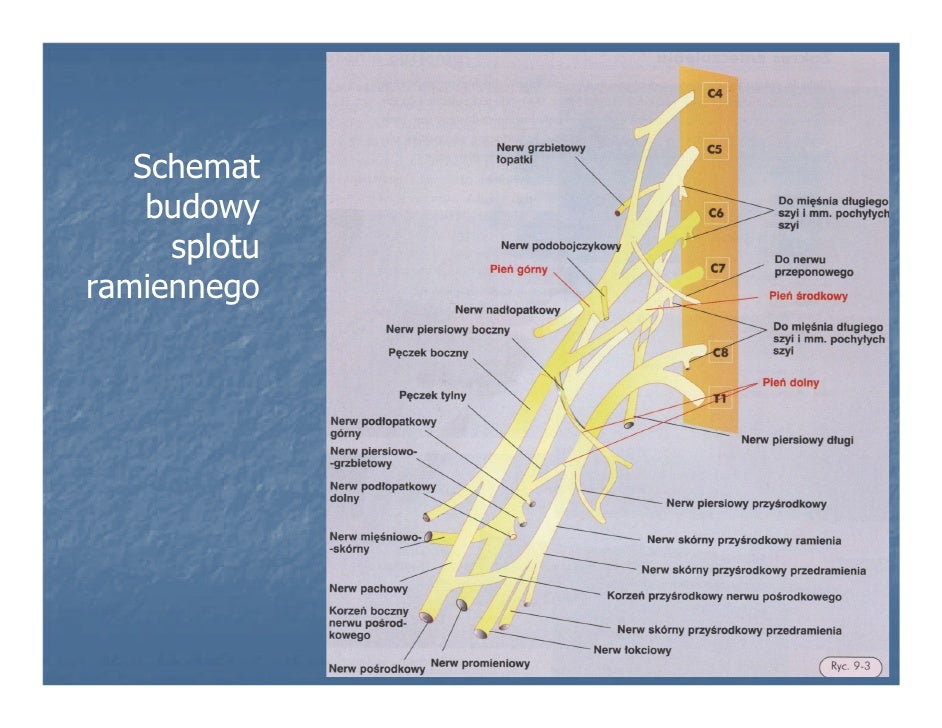 Blokada splotu ramiennego z dojścia pomiędzy mm. pochyłymi.