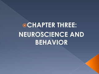 03 neuroscience & behavior | PPT