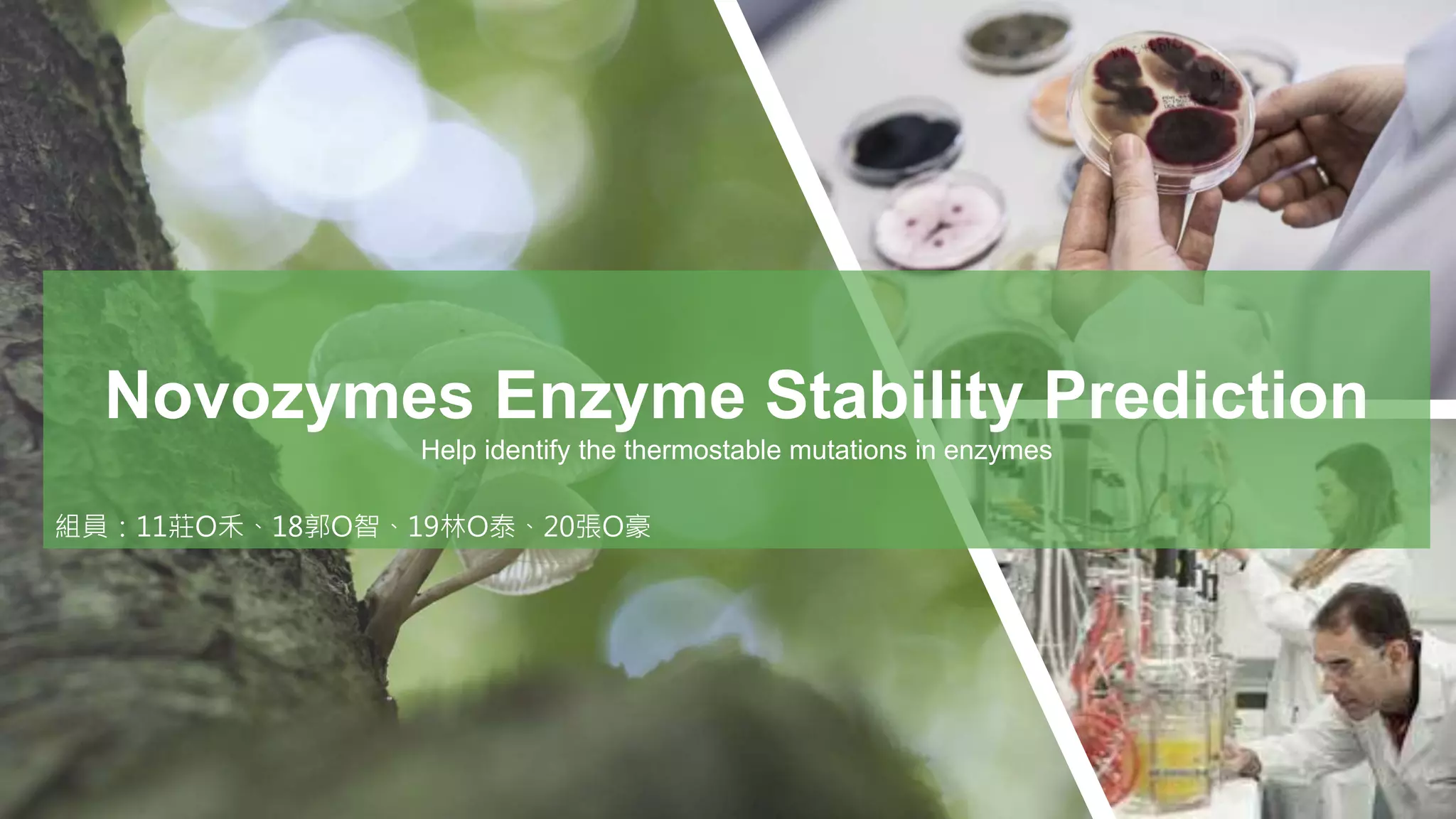 Novozymes Enzyme Stability Prediction | PPTX