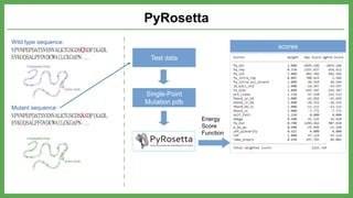 Novozymes Enzyme Stability Prediction | PPTX