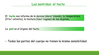 Ciencias de la salud: organos de los sentidos | PDF