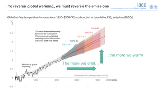 Earth System Climate Response | PDF