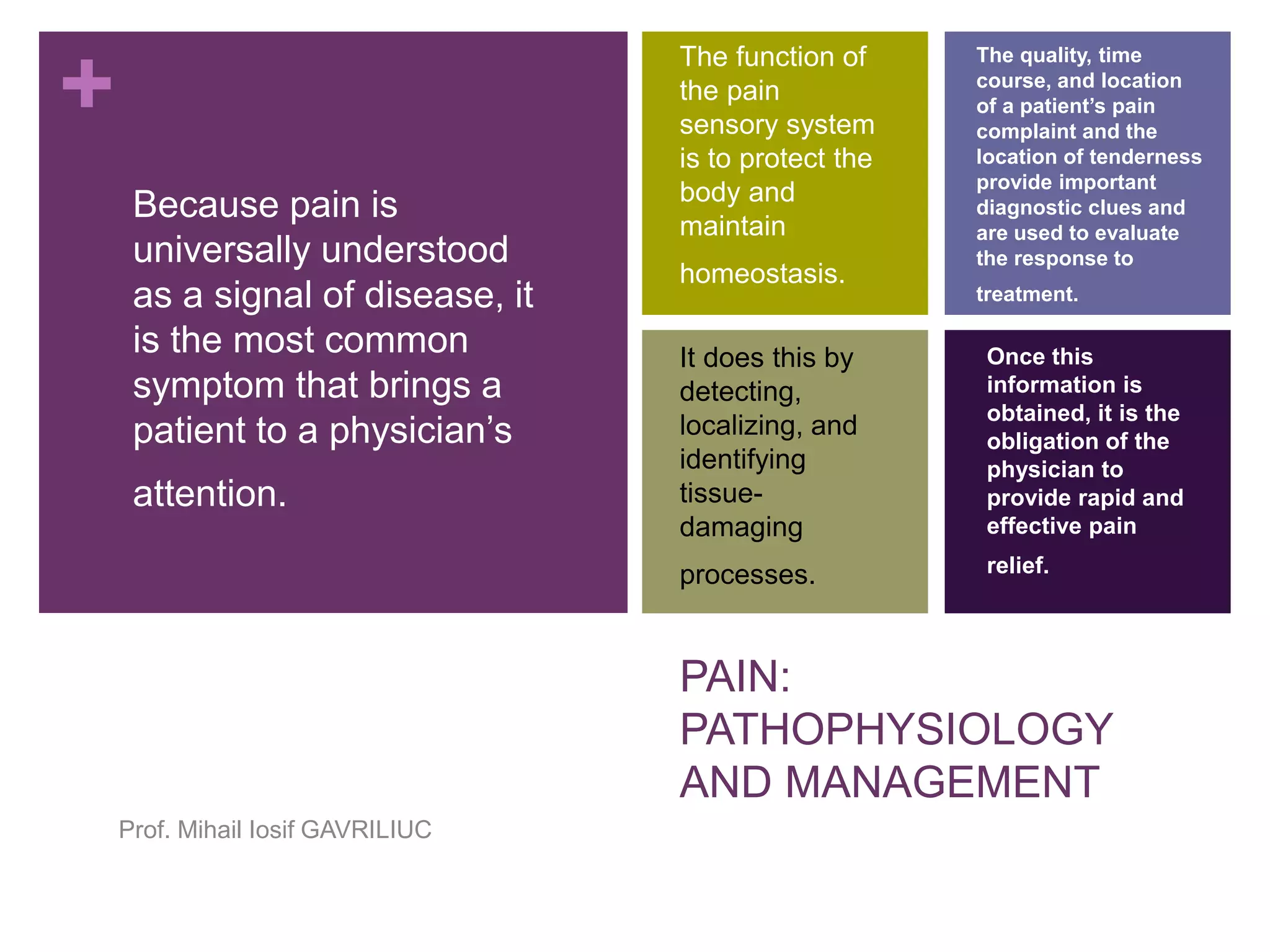 03 pain neorology | PPTX