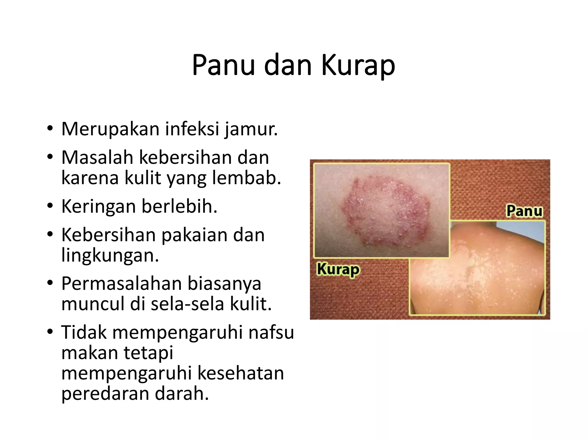03 patologi manusia penyakit infeksi | PDF