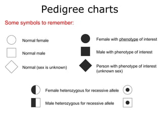 03 pedigree charts | PPT