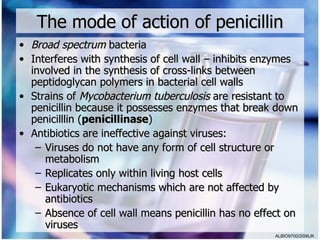 03 Penicillin as an Antibiotic | PPT