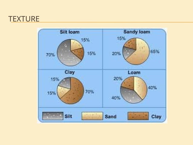 03 Physical Properties (Texture) of Soil.pptx