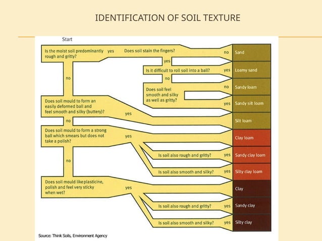 03 Physical Properties (Texture) of Soil.pptx