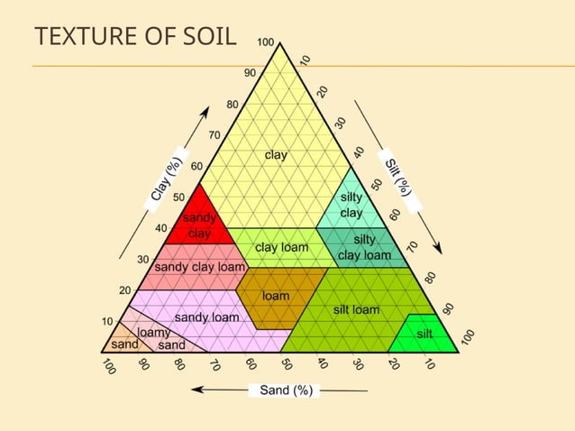 03 Physical Properties (Texture) of Soil.pptx
