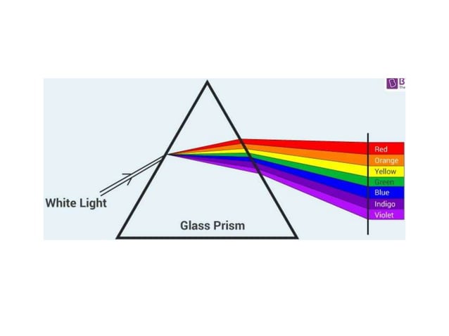 03 physiological optical defects | PPTX | Photography | Arts and Crafts