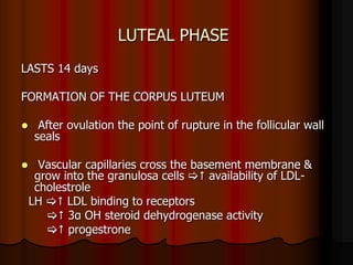 03_PHYSIOLOGY OF THE MENSTRUAL CYCLE.ppt