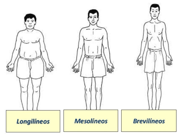 03 planos y ejes. terminologìa anatómica