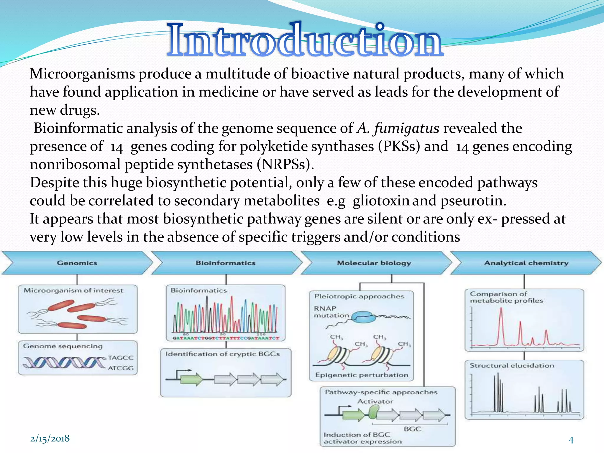 Bacteria Induced Cryptic Meroterpenoid Pathway in Pathogenic ...