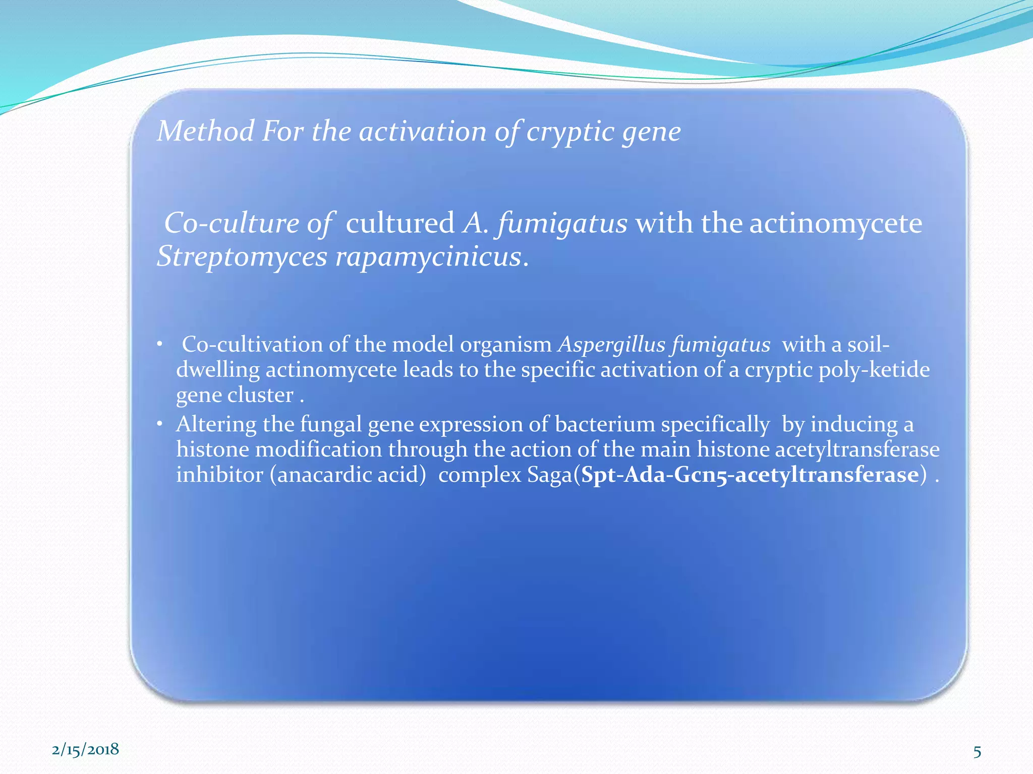 Bacteria Induced Cryptic Meroterpenoid Pathway in Pathogenic ...