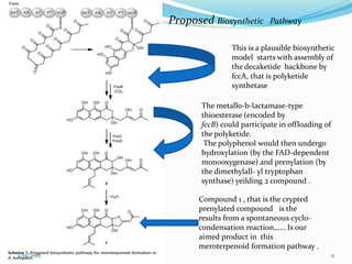 Bacteria Induced Cryptic Meroterpenoid Pathway in Pathogenic ...