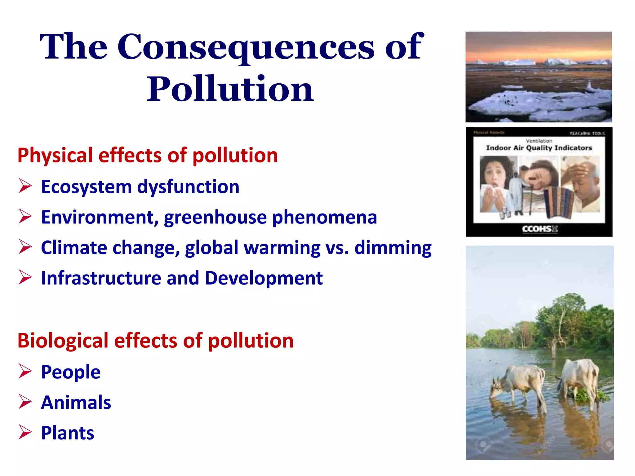 03 pollutants harm effects | PPTX